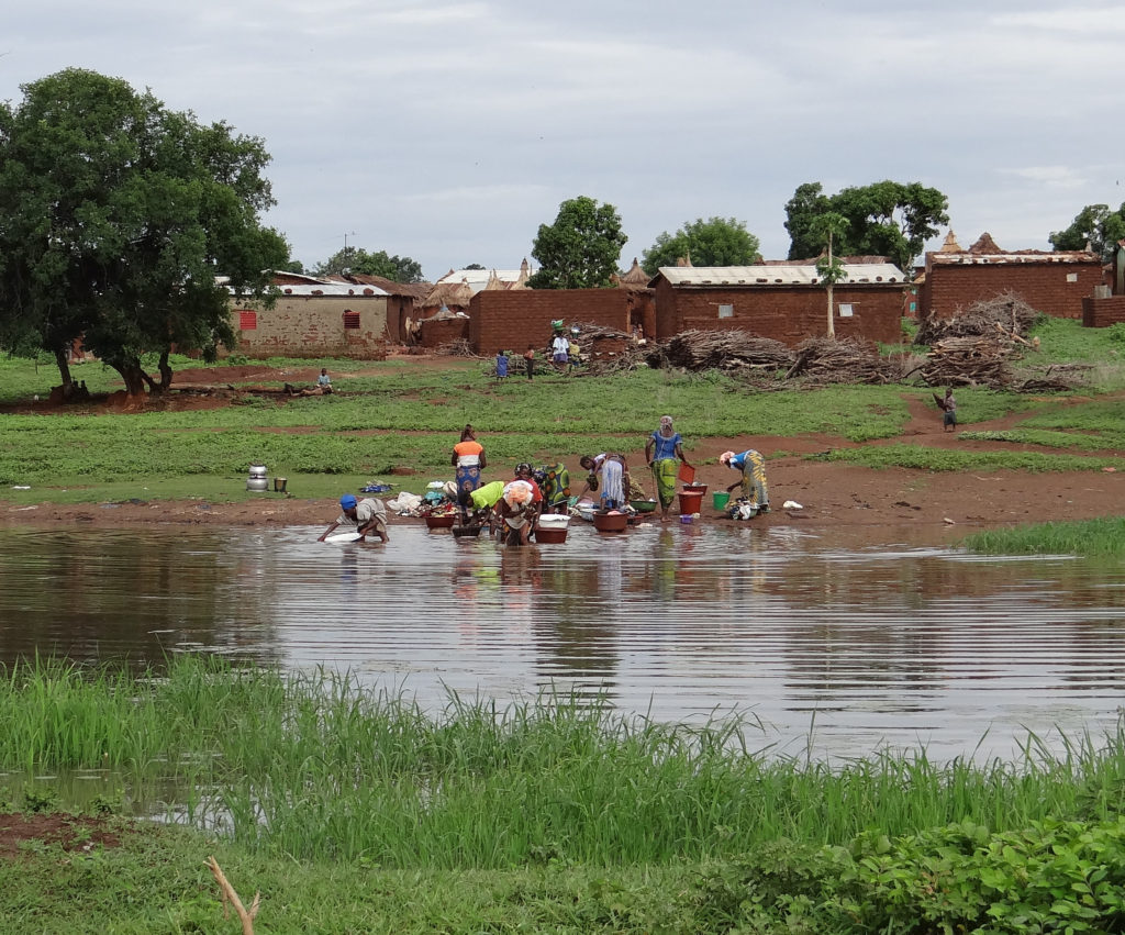Upper Midwest Sheep Farmers Working in Mali, W. Africa