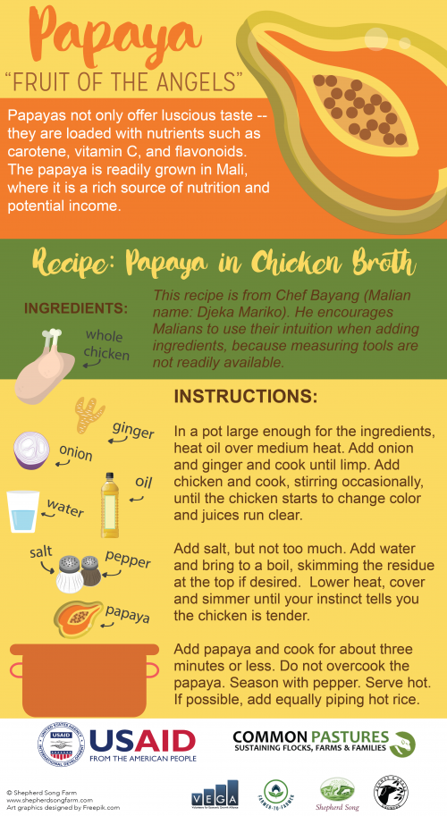 Papaya - The Fruit of the Angels (Infographic)