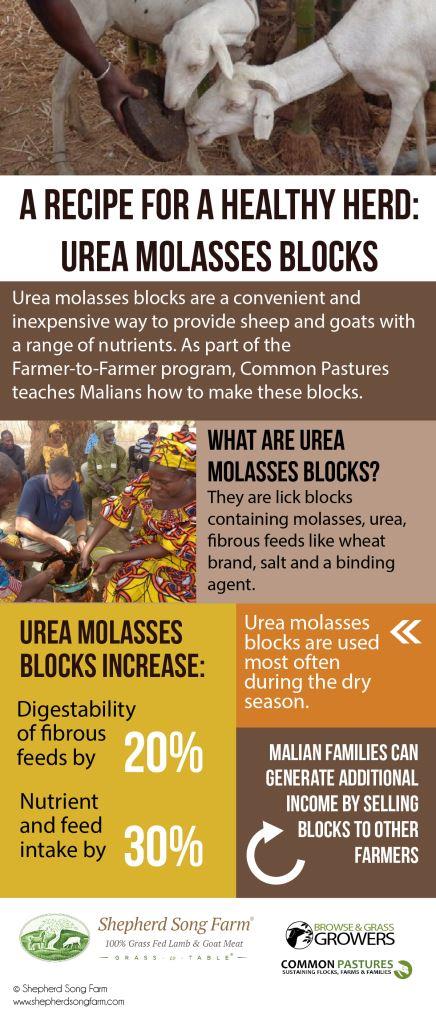 A Recipe for a Healthy Herd: Urea Molasses Blocks (Infographic)