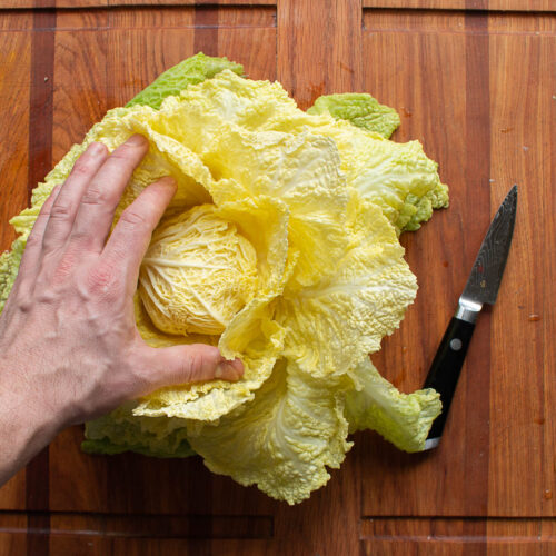 Stuffed Cabbage with Lamb, Herbs and Walnuts