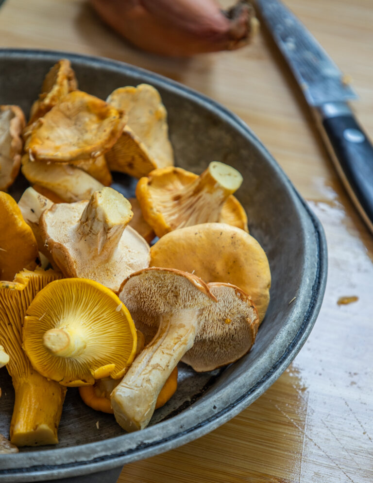Lamb Marsala with Wild Mushrooms - Shepherd Song Farm